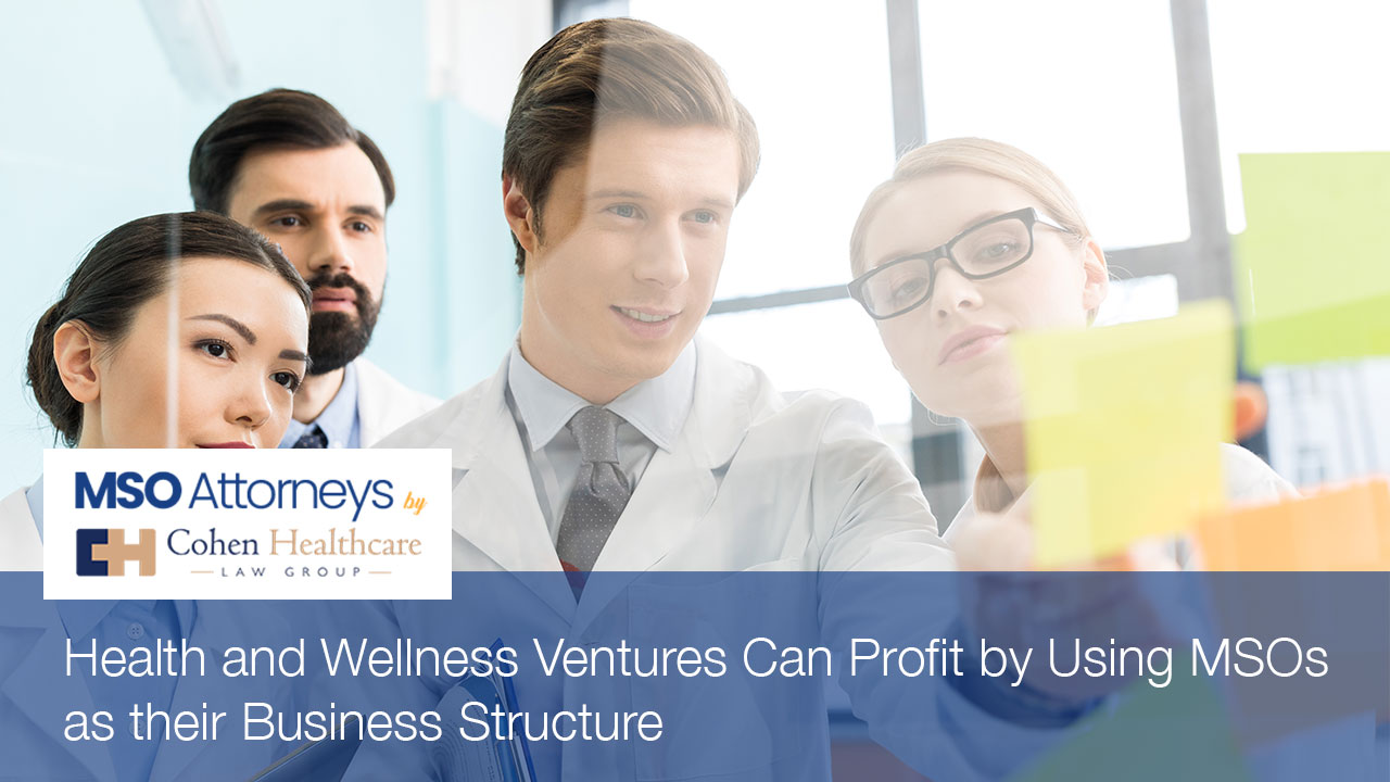 Health and Wellness Ventures Can Profit by Using MSOs as their Business ...